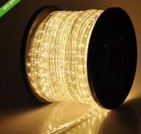 China Topsung new designs 1/2'' 2 wire led rope flex light with 12/24 voltage for sale