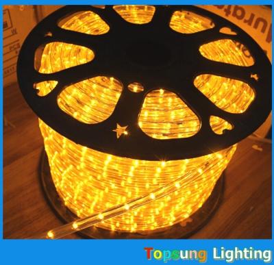 China 24/12V duralights 1/2'' 2 wire solar powered led flexible rope lights for sale