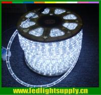 China 12/24v 1/2'' 2 wire different color glue flexible led rope lights for sale