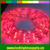 China led rope 1/2'' 2 wire duralight waterproof flexible 12v led lights for sale