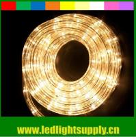 China driver dimmer led 24v 1/2'' 2 wire duralight with waterproof IP65 for sale