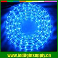 China Led flexible led strip 1/2'' 2 wire rope duralights with low volt 24/12v for sale