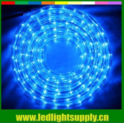 China Led flexible led strip 1/2'' 2 wire rope duralights with low volt 24/12v for sale