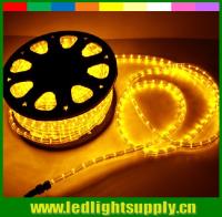 China led outdoor yellow lighting 2 wire led rope lights waterproof for sale