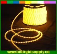 China yellow outdoor rope lighting 2 wire led rope christmas lights for sale