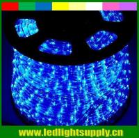 China solar lighting 2 wire blue 12v led waterproof rope flexible lights for sale