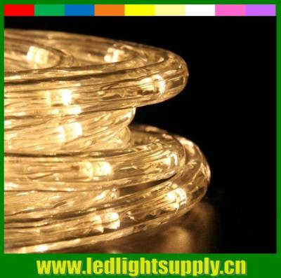 China led strip 2 watt per meter 2 wire warm white led rope flex lights for sale