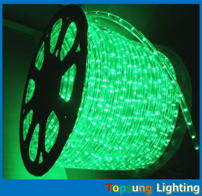 China christmas led light 110/220v 2 wire round led rope flex lights for sale