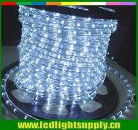 China 12/24v white christmas duralights 2 wire led rope flex lights for sale