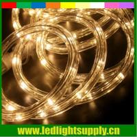 China led neon light dimmer warm white 2 wire christmas rope lights for sale