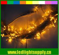 China wedding decoration 110/220V fairy led string light for festival for sale