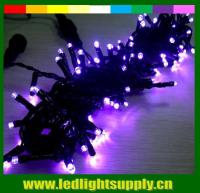 China Hot sale 100 bulbs 12v wedding string lights warm white for outdoor for sale