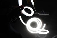 China top quality white led neon flex light 220v 360 round 100leds/m for building for sale