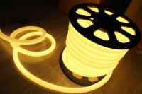 China 220v new warm white DIP 100leds/m 360 degree neon flex light for building for sale