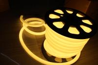 China 220v new warm white DIP 100leds/m 360 degree neon flex light for building for sale