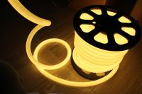 China 220v new warm white DIP 100leds/m 360 degree neon flex light for building for sale