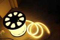 China 220v new warm white DIP 100leds/m 360 degree neon flex light for building for sale