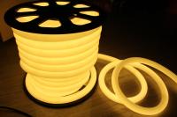 China 220v new warm white DIP 100leds/m 360 degree neon flex light for building for sale
