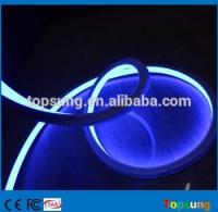 China top quality square blue  neon flexible light 110v 120leds/m for outdoor building for sale