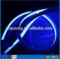 China top quality square blue  neon flexible light 110v 120leds/m for outdoor building for sale