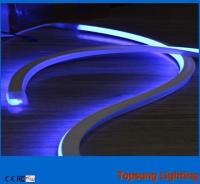 China top quality square blue  neon flexible light 110v 120leds/m for outdoor building for sale