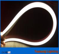 China 100leds/M 110v LED Neon Flex Light Square Warm White For Garden for sale