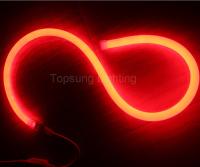 China Amazing red led flex neon 360 100 led 12v for sale