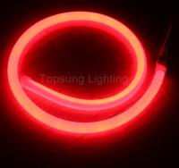 China Amazing red led flex neon 360 100 led 12v for sale