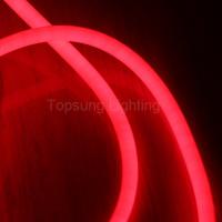 China 2016 new red 360 neon 100 led 24v for sale