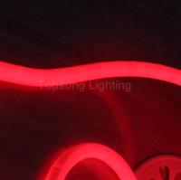 China 2016 new red 360 neon 100 led 24v for sale
