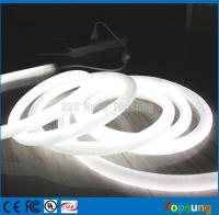 China 82' spool 360 degree white led neon flex 24v for boat for sale