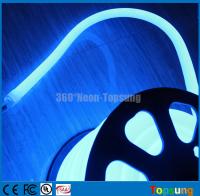 China 100' spool 24 Volt blue 360 degree round led neon light for pool for sale