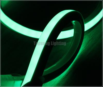 China whole sale square green 16*16m 220v flexible  led neon flex light for house for sale