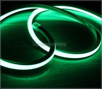 China hot-sale square 127v 16*16m green led neon flex light for outdoor for sale