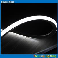 China Amazing bright square 127v 16*16m white led neon  light for outdoor for sale
