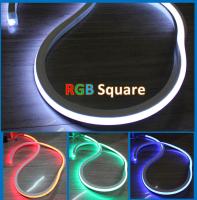 China high quality square 12v 16*16m LED neon flex light RGB for sale