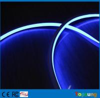 China hot sale flat led light 24v 16*16 m blue  neon flex light for decoration for sale