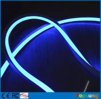 China hot sale flat led light 24v 16*16 m blue  neon flex light for decoration for sale