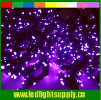 China Hot sale 100 bulbs 12v wedding string lights warm white for outdoor for sale