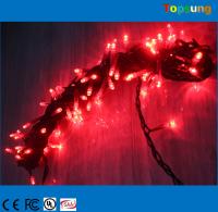 China garden decorate 100leds AC christmas led string light for sale