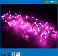 China Durable purple christmas led outdoor 24v 10meter for sale