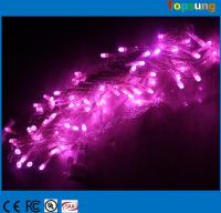 China Durable purple christmas led outdoor 24v 10meter for sale