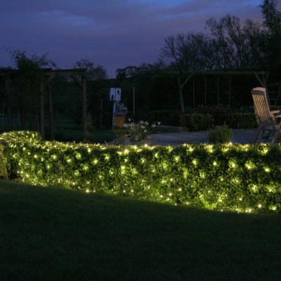 China Top View 24v fairy outside christmas lights curtain for garden for sale