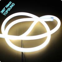 China 360 degree round 16mm customize DMX led neon flex light white 110V for sale