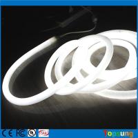 China 360 degree round 16mm customize DMX led neon flex light white 110V for sale