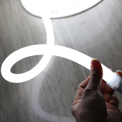 China 360 degree round 16mm customize DMX led neon flex light white 110V for sale