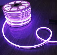 China rgb led neon flex 11*19mm flat emitting surface 220V neon tube Christmas light for sale