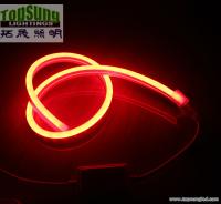 China DC24V RGB led neon flex 5050 SMD 9w/m 10*18MM ultra thin neon rope light for sale