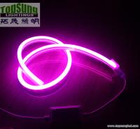 China DC24V RGB led neon flex 5050 SMD 9w/m 10*18MM ultra thin neon rope light for sale