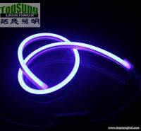 China DC24V RGB led neon flex 5050 SMD 9w/m 10*18MM ultra thin neon rope light for sale